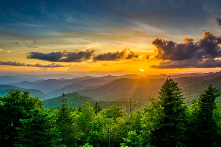 10 Unforgettable Day Trips in North Carolina for Your Next Adventure